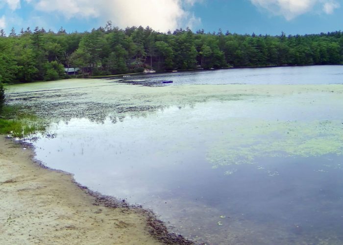 Make Memories at Spacious Skies Campgrounds French Pond